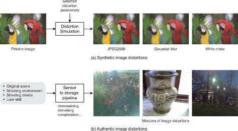 Figure 5 From Deep Convolutional Neural Models For Picture Quality Prediction Semantic Scholar