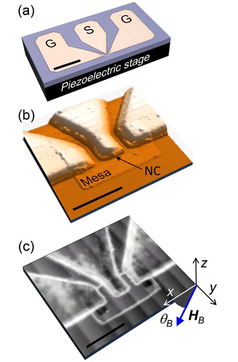 A An Optical Microscope Image Of The Cpw Ground Signal Ground G S G