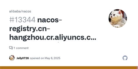 Nacos Registrycn Nacosnacos Serverv300在