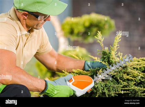 Gardening And Landscaping Theme Caucasian Gardener In His 40s Trimming