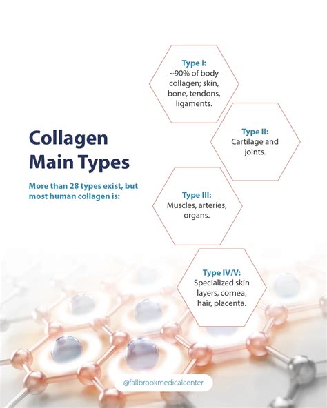Collagen What It Is Types Function And Benefits