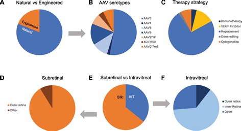 Aav Based Gene Therapies For Retinal Diseases Tacg