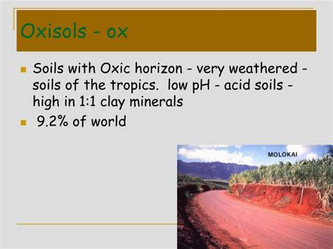 Ppt Lecture 5a Soil Taxonomy Powerpoint Presentation Id6762436
