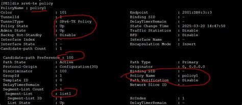 srv6案例5：evpn over srv6 te index 5 sid ipv6 2001 db8 5000 111 csdn博客
