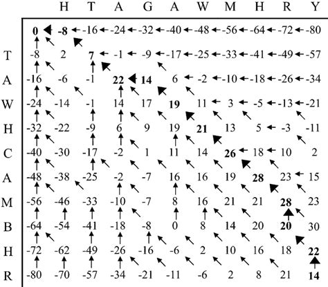 The Global Dynamic Programming Matrix For Hypercomplex Number Download Scientific Diagram