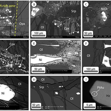 Sonja Aulbach Research Associate Phd Goethe Universität Frankfurt Am Main Frankfurt Am