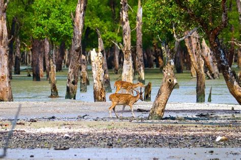 Mohammad Rajib Hossain On Linkedin It Was A Great Team Engagement To Get Together With Every