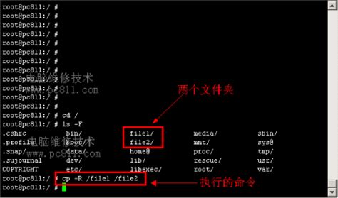 Linux如何复制文件夹到根目录unix如何复制文件和文件夹目录 Csdn博客