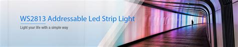 Addressable Dual Data RGB Pixel V Led M Ws Led Strip Witoptech
