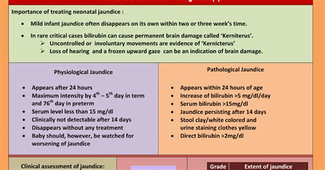 Medical Notes For Students Bilirubin Neonatal Jaundice Management 1