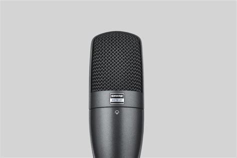 Shure Beta Checcacci Strumenti Musicali