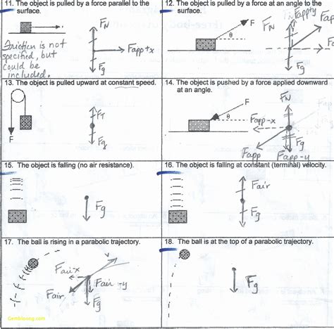 Calculating Force Worksheet Answers Chessmuseum Template Library