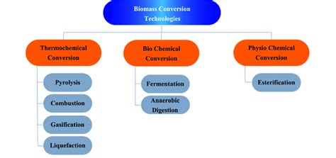 Biomass Conversion Technologies [49 51] Download Scientific Diagram