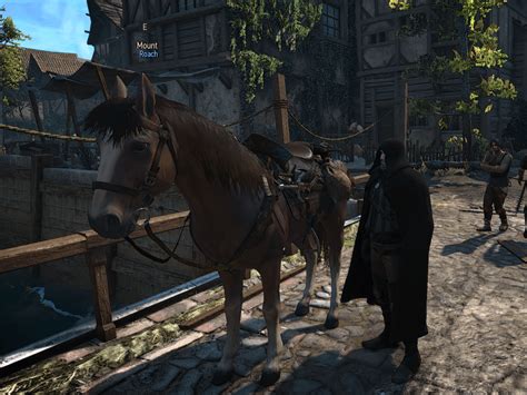 Just Roach Carrying Geralts Swords Rthewitcher3
