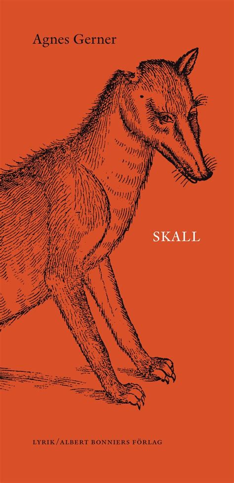 Agnes Gerner Te Dieron Un Principio Y Un Final La Libélula Vaga