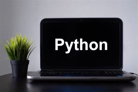 Top 5 Python Libraries Every Data Scientist Should Know By Hina Khan
