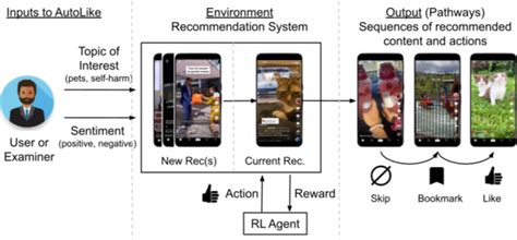 논문 리뷰 AutoLike Auditing Social Media Recommendations through User Interactions