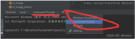 tensorboard 无法将“tensorboard”项识别为 cmdlet、函数、脚本文件或可运行程序的名称。请检查名称的拼写，如果
