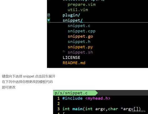 Vimplus更改代码模板vimplus更换样式 Csdn博客