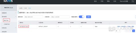 Springboot集成nacos服务注册发现中心
