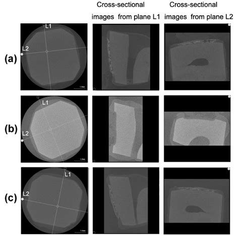 Typical Cross Sectional Images Generated From Micro Ct Scans The Two Download Scientific