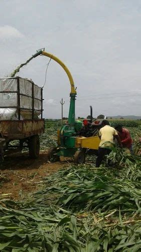 Silage Grass Fodder For Cattle Feed Pack Size Apprx 400kg At ₹ 94