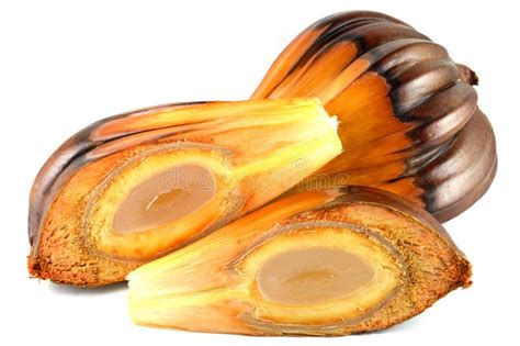 Nipa Palm Fruit Thailand Stock Photo Image Of Plant 41988648