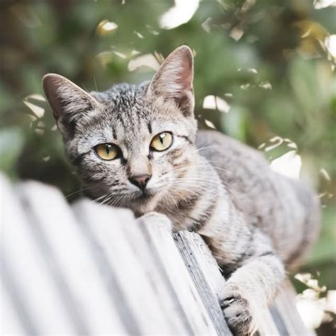 蘇詠翔 Su Yong Xiang • Threads Say More