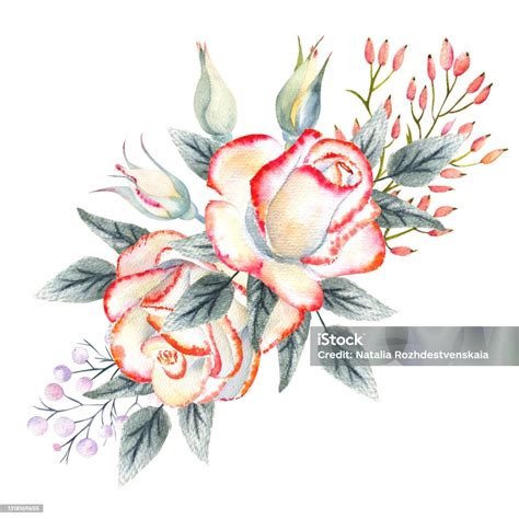 분홍색 가장자리 잎 열매 장식 나뭇 가지와 흰색 장미의 꽃다발 인사말 카드 초대장 등의 디자인에 대한 수채화 일러스트레이션 0