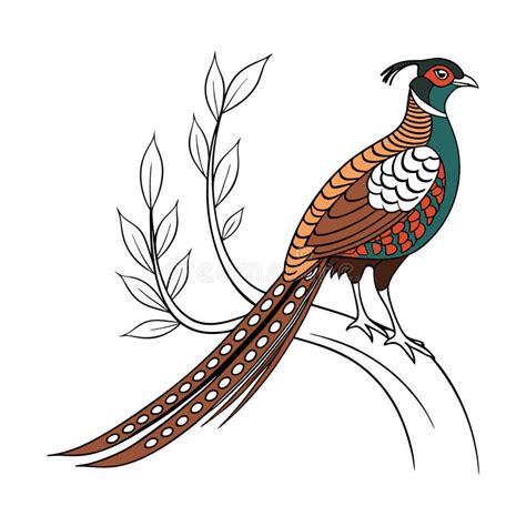 Stunning Bronze Tailed Peacock Pheasant Colorful Illustration Stock