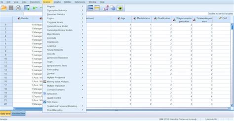 Expert Data Analysis Using Spss Software By Hammadlatif934 Fiverr