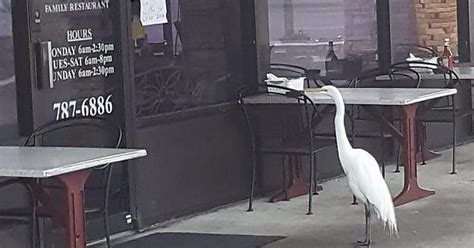 What Time Do You Open Imgur