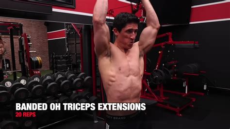 Bicep And Tricep Workout Sleeve Busting Arms Athlean X