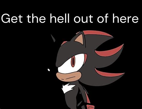 Shadow Hedgehog Memes