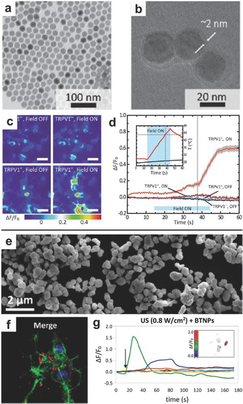 External Fields Can Be Applied To Remotely Stimulated Neurons Via