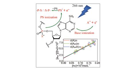 Low Energy Photoionization Of Phosphorothioate Dna Oligomers And Ensuing Hole Transfer The