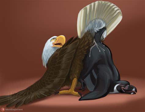 Rule 34 Accipitrid Accipitriform Ass Ass To Ass Avian Bald Eagle Beak