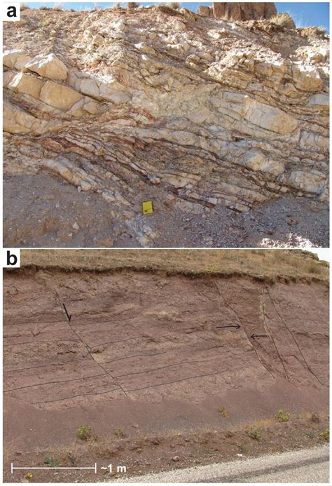58 Field Photographs Showing A Syn Sedimentary Deformation Or Download Scientific Diagram