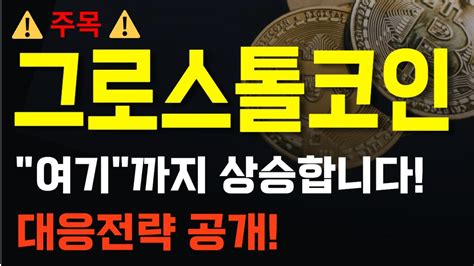 그로스톨코인 여기까지 상승합니다 대응전략 공개 그로스톨코인 그로스톨코인코인 그로스톨코인코인차트분석 그로스