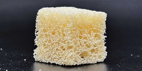 Research Projects Food Structure Engineering Eth Zurich