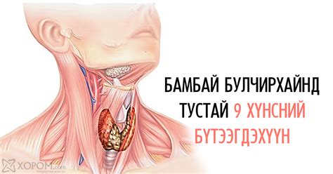 Бамбай булчирхайнд тустай 9 хүнсний бүтээгдэхүүн