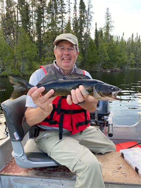 Blue Walleye Wilderness North