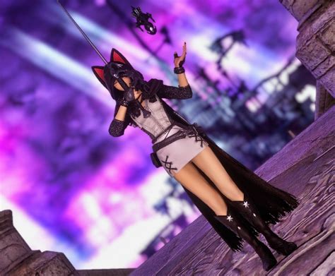 Caped Kitty Crusader Eorzea Collection