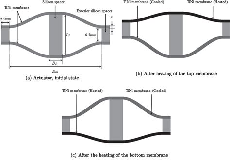 figure 1 from finite element analysis of a shape memory alloy actuator