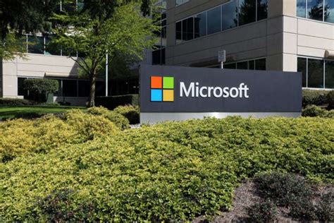 Microsoft Wiki Review