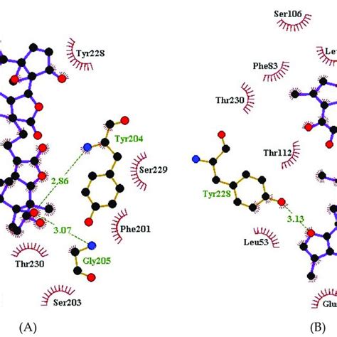 Two Dimensional Plots Of The Wsp Ligand Interactions Generated Using