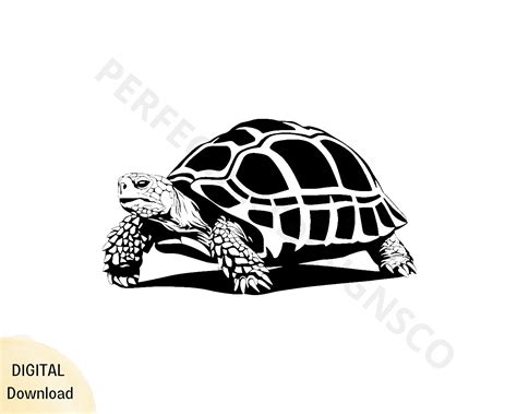 Gopher Tortoise Silhouette Svg File Gopher Tortoise Cutting Svg File