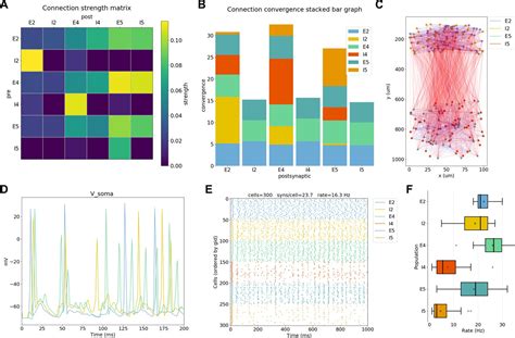 Figures And Data In Netpyne A Tool For Data Driven Multiscale Modeling