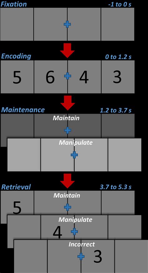 Numerical Working Memory Manipulation Task Each Trial Began With An