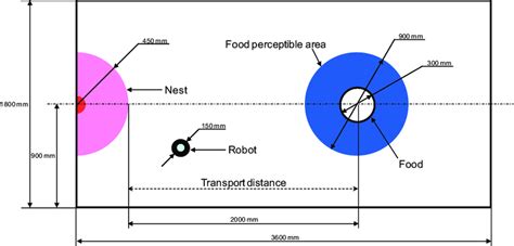 plane view of experimental field download scientific diagram